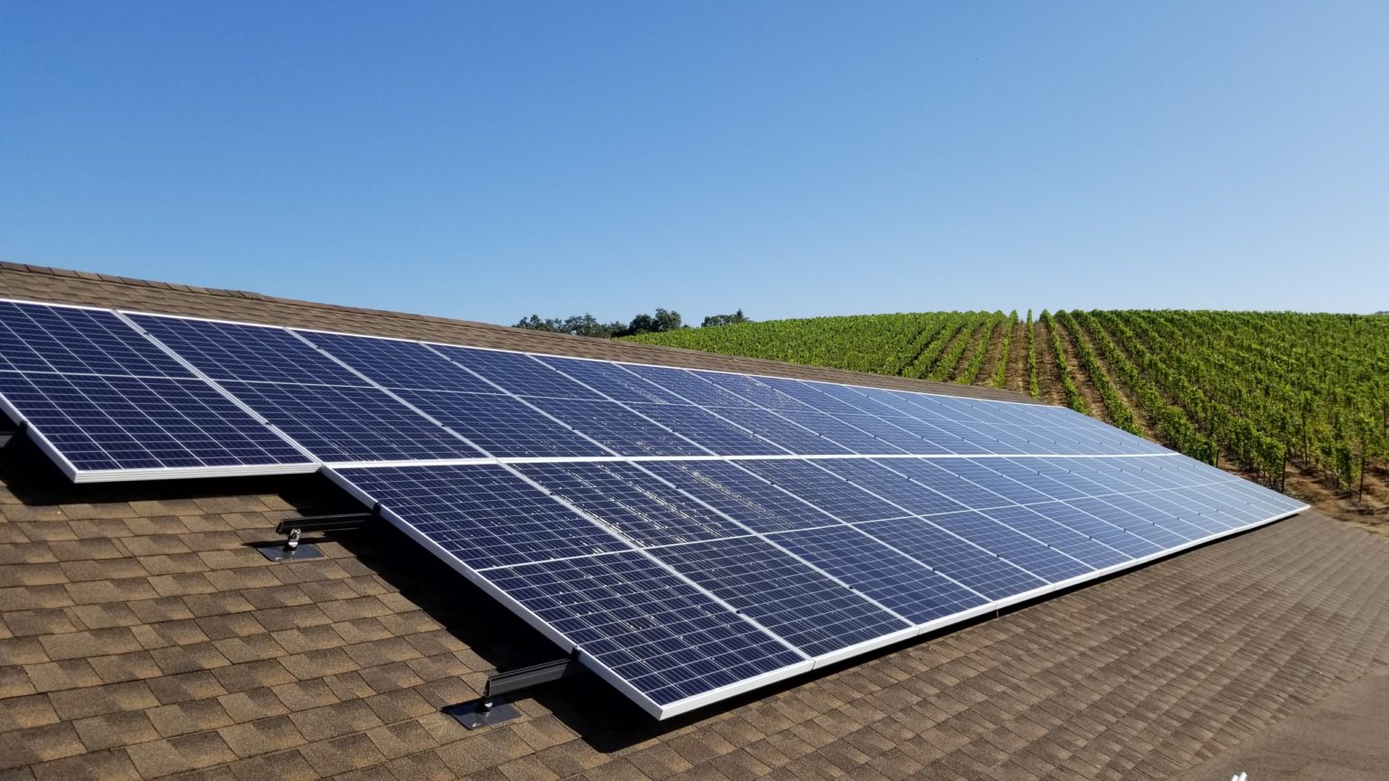 EAGLE Academy – JinkoSolar US