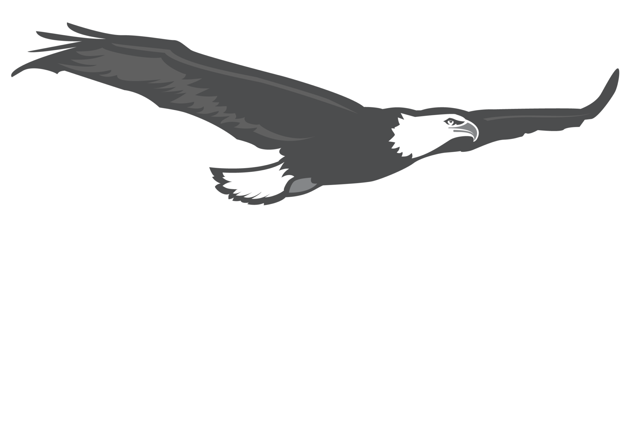 EAGLE Preserve – Jinko US
